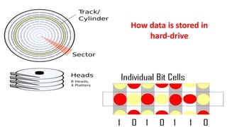 Science Journal - How much space we have in brain and How memory is ...