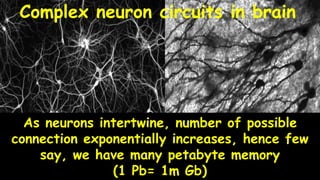 Science Journal - How much space we have in brain and How memory is stored-retrieved | PPTX