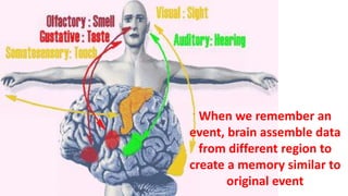 Science Journal - How much space we have in brain and How memory is ...