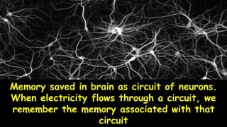 Science Journal – How brain stores-retrieve memory & how much space is ...