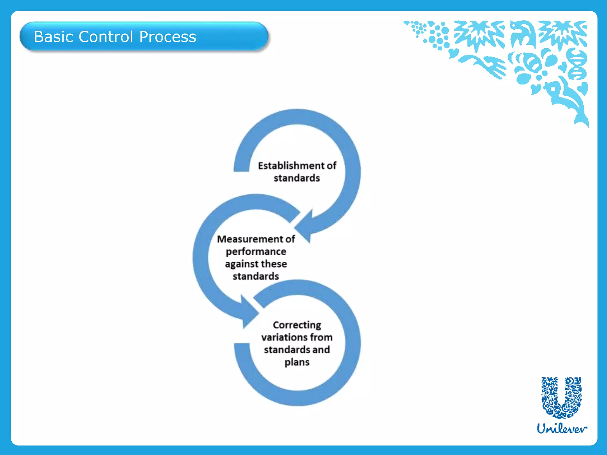 Unilever organize structure | PPTX