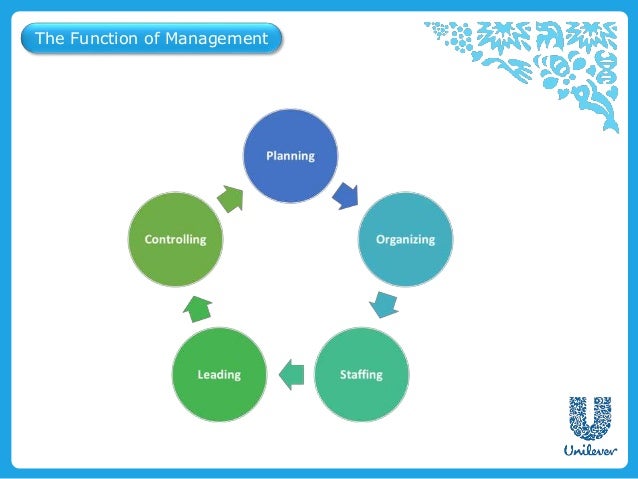 Unilever organize structure