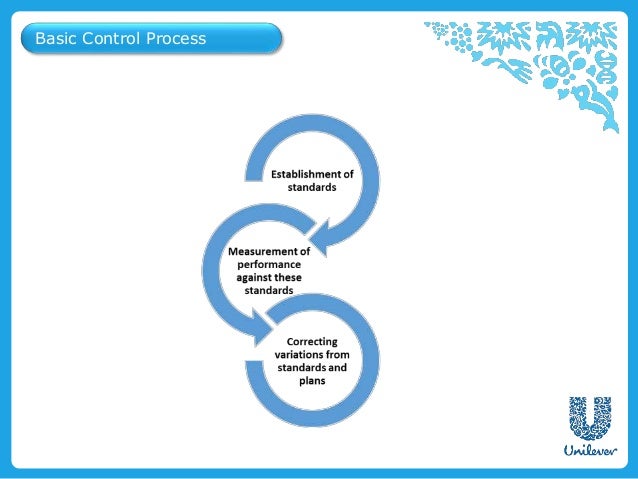 Unilever organize structure