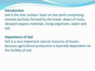 Soils of Assam | PPTX