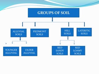 Soils of Assam | PPTX