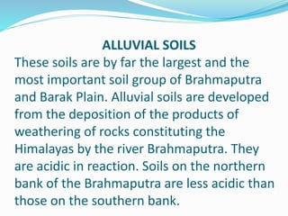 Soils of Assam | PPTX