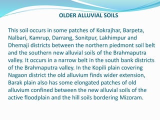 Soils of Assam | PPTX