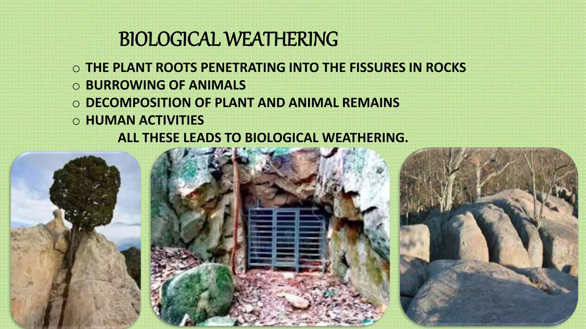 Weathering of Rocks | PPTX