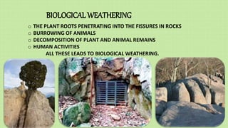 Weathering of Rocks | PPTX
