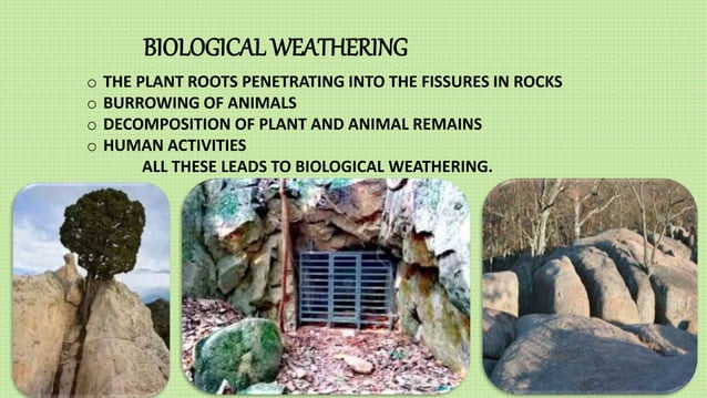 Weathering of Rocks | PPT