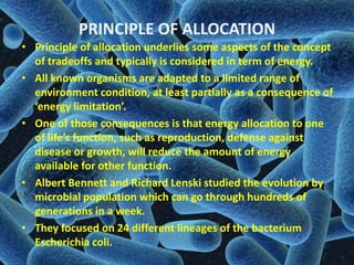 Principle Ecology | PPT