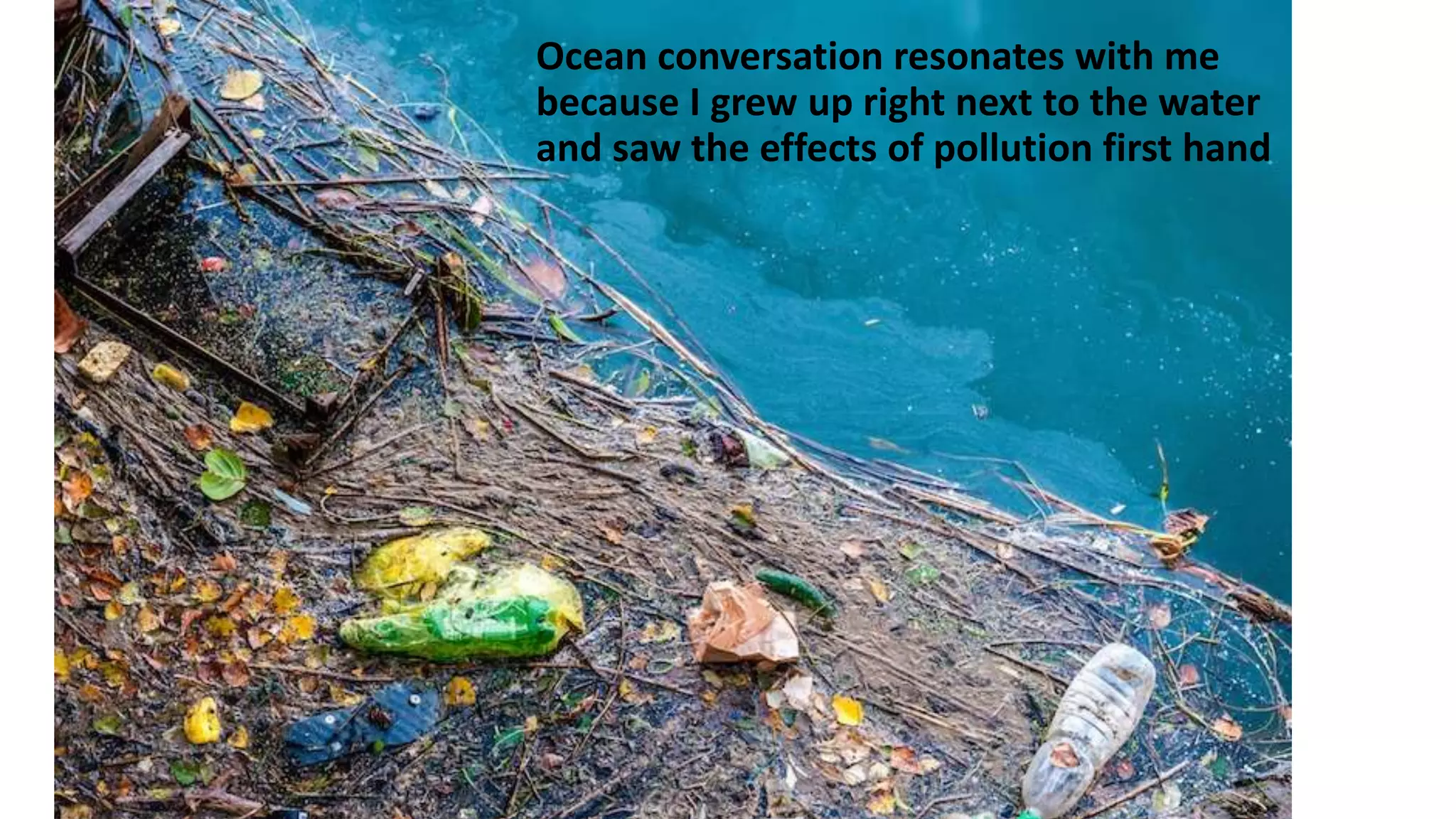 Puget sound pollution | PPTX