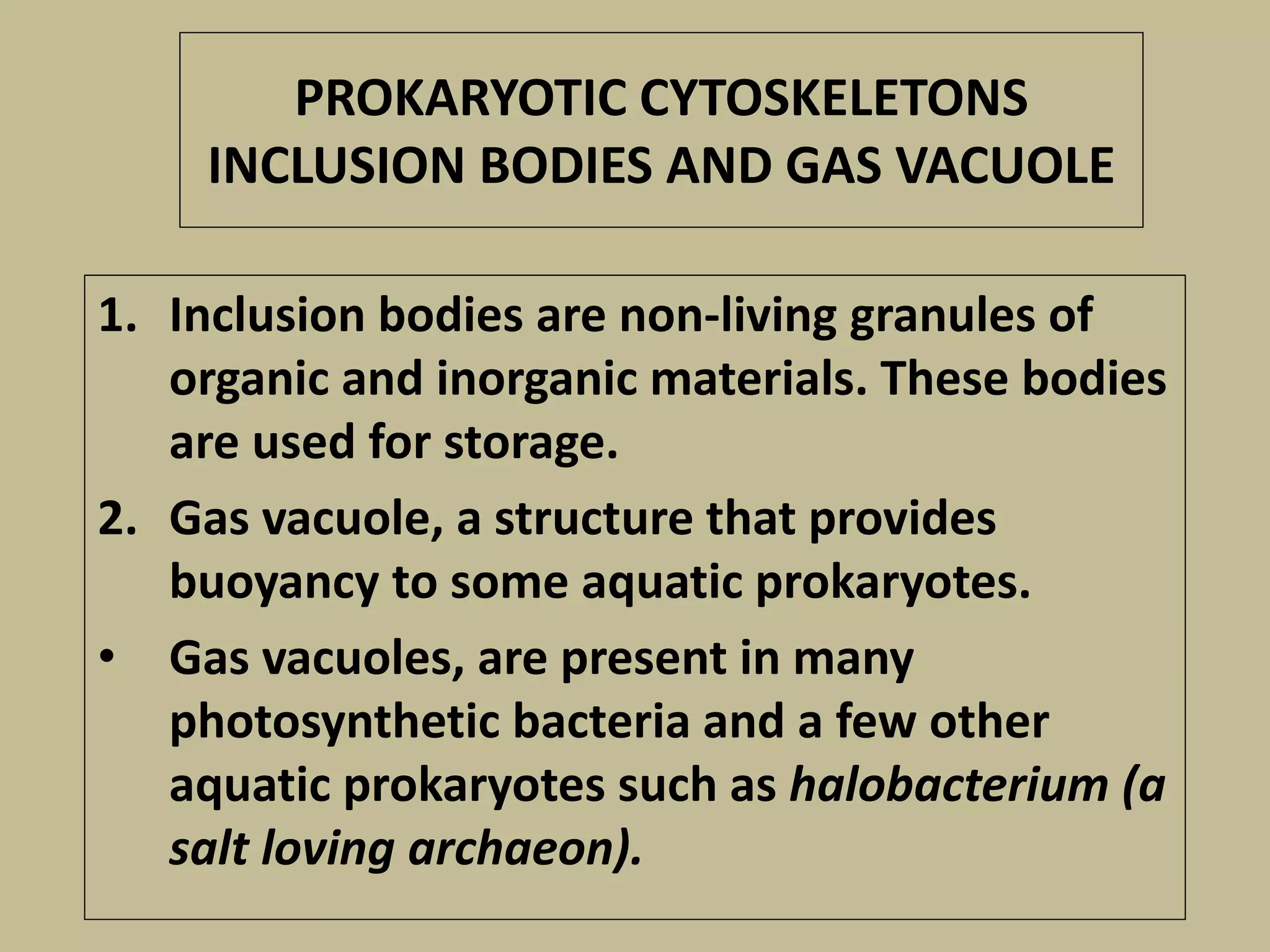 GENERAL FEATURES OF PROKARYOTES | PPTX