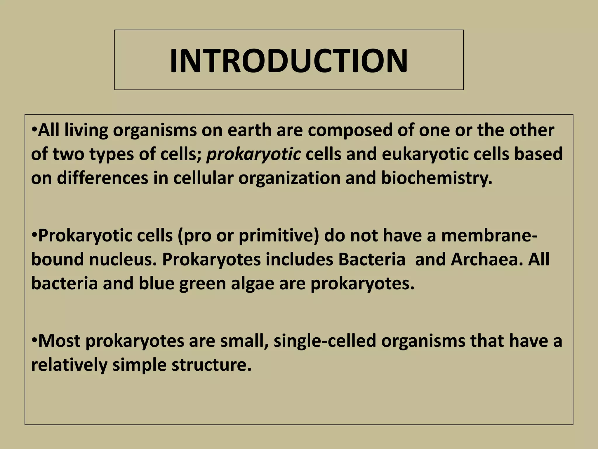 GENERAL FEATURES OF PROKARYOTES | PPTX