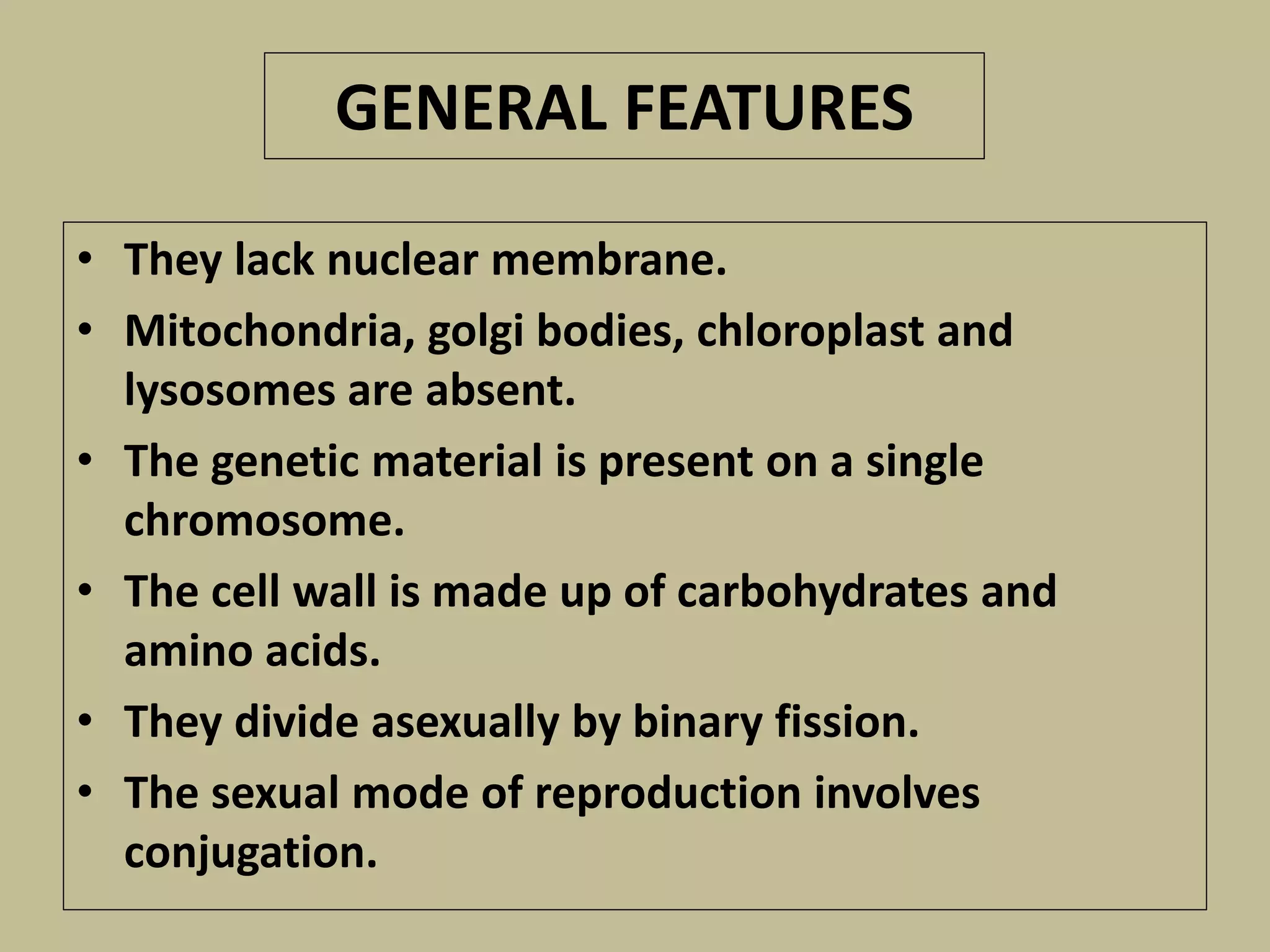 GENERAL FEATURES OF PROKARYOTES | PPTX