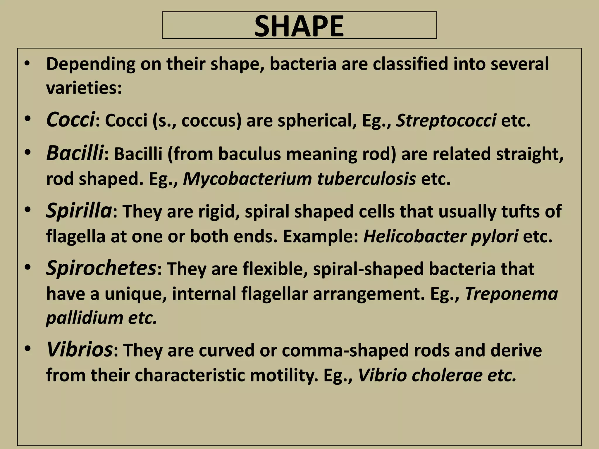 GENERAL FEATURES OF PROKARYOTES | PPTX