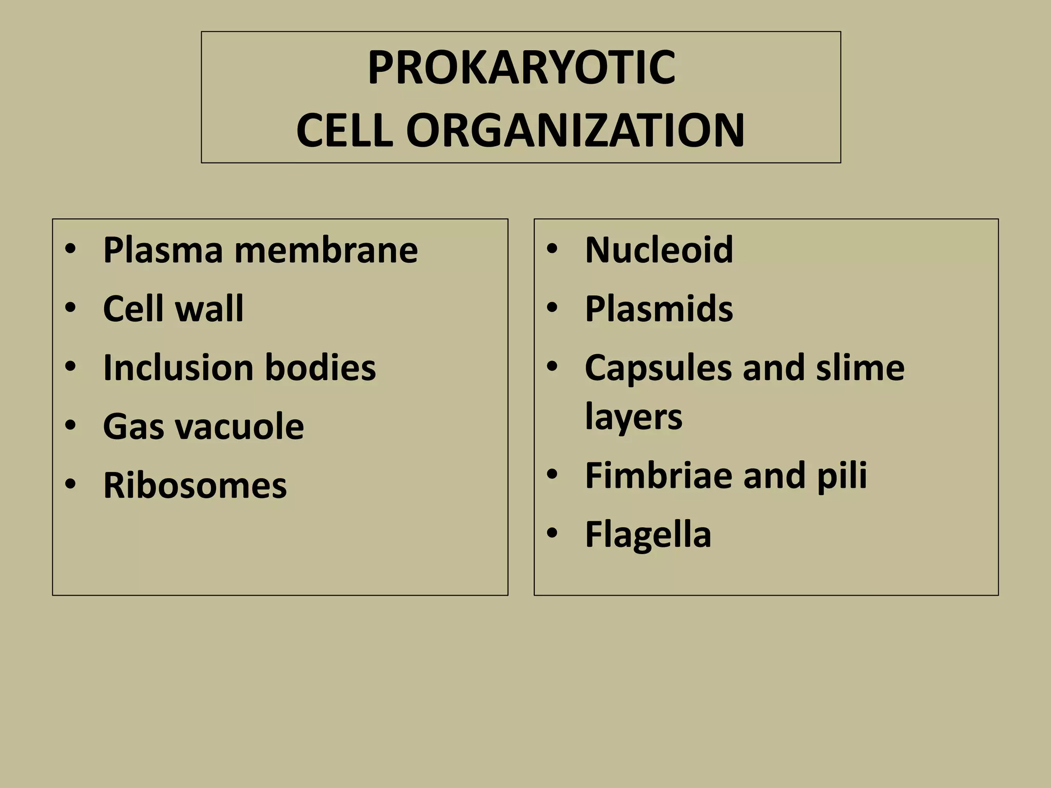 GENERAL FEATURES OF PROKARYOTES | PPT