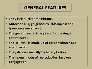 GENERAL FEATURES OF PROKARYOTES | PPT