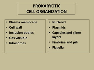 GENERAL FEATURES OF PROKARYOTES | PPT