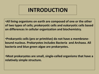 GENERAL FEATURES OF PROKARYOTES | PPT