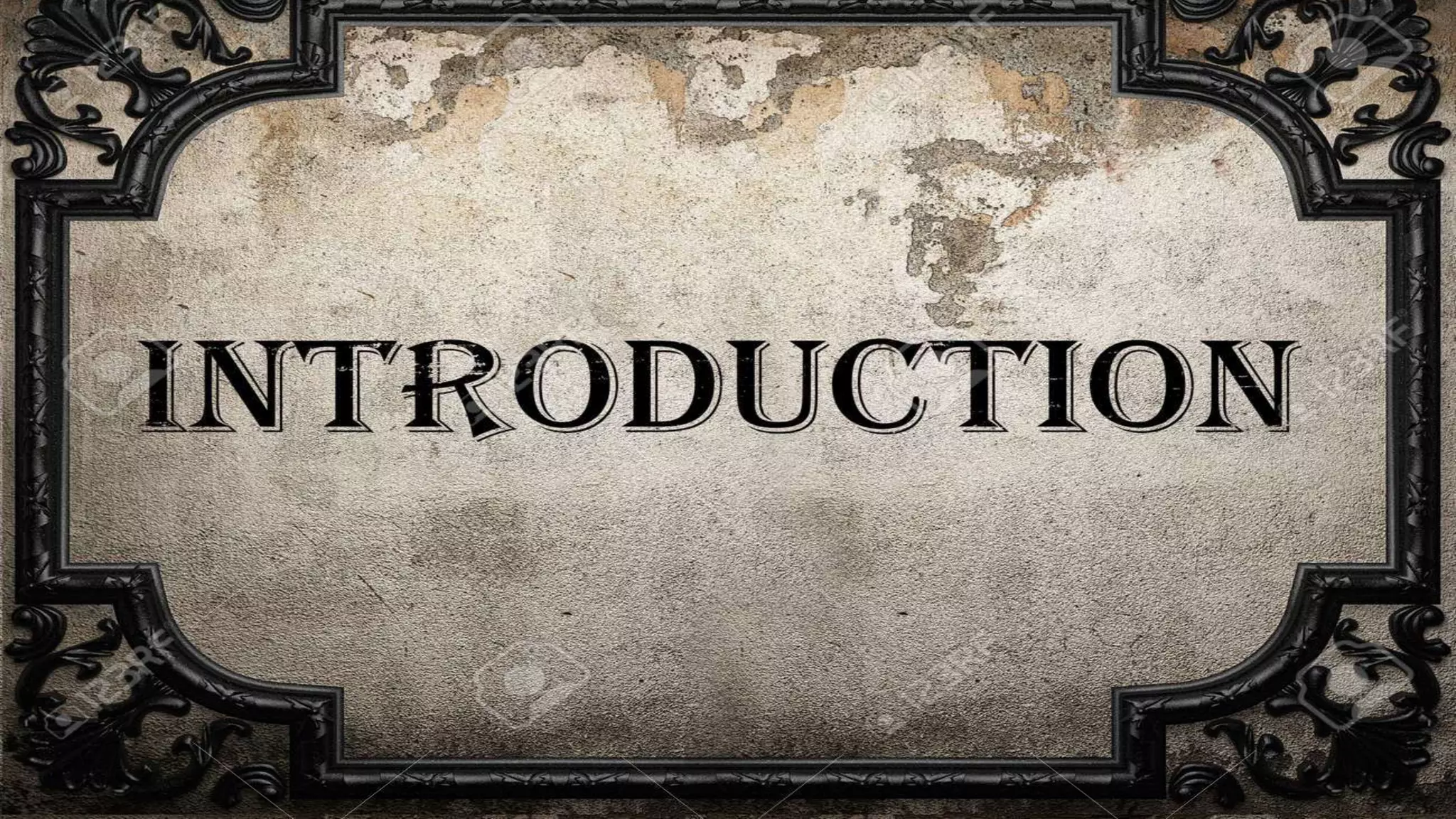 THE PERFECT EXECUTION | PPTX