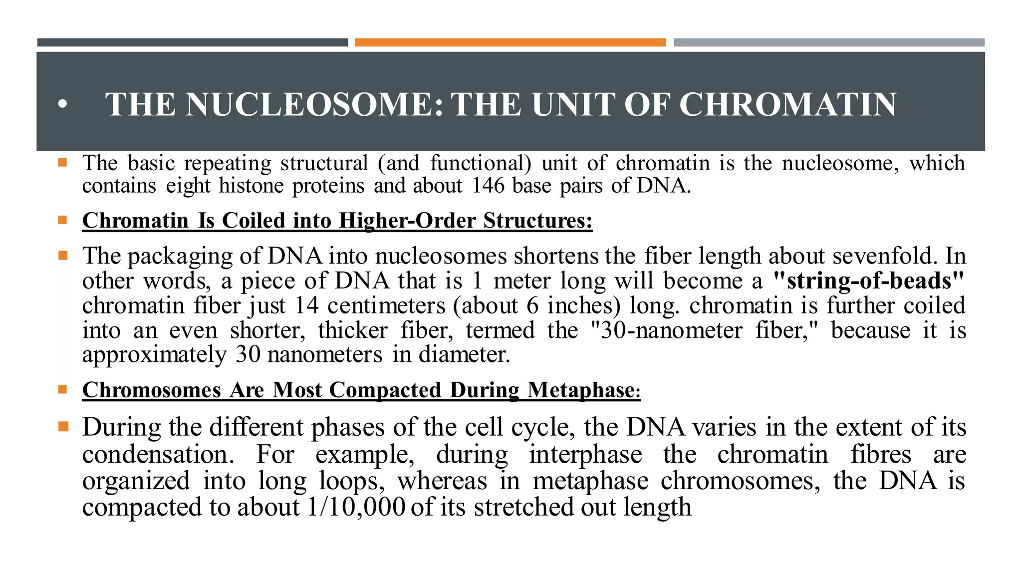 Molecular Genetics | PDF