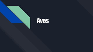 Las aves | PPT