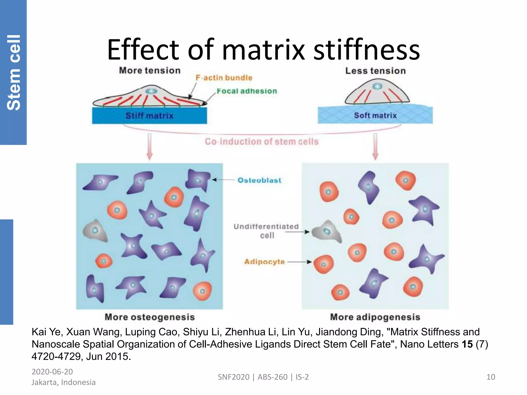 Molecular Dynamics (MD) Method and Agent-Based Model (AMB) in ...