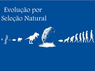 Charles Darwin e o Evolucionismo | PPT