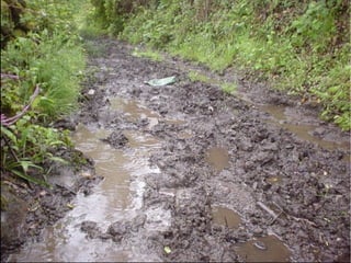 #safaDojo - Coding Dojo Go lang | PDF