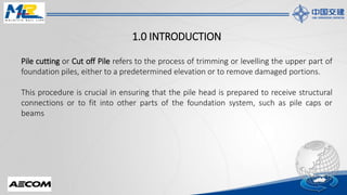 Slide - Mackintosh Probe Test by STN14 Syed B.pptx