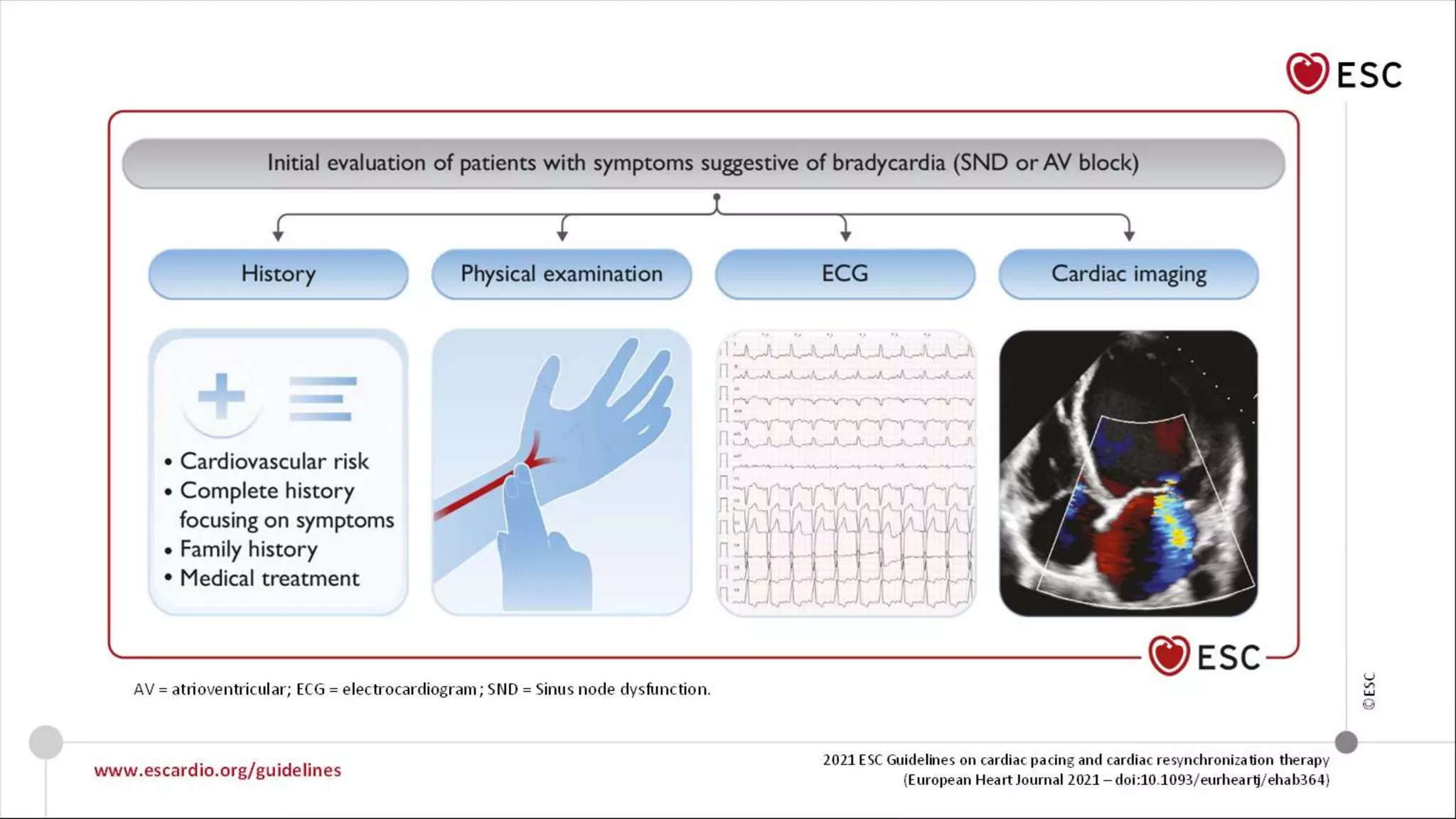 2021 ESC Guidelines on Cardiac Pacing and CRT | PPTX