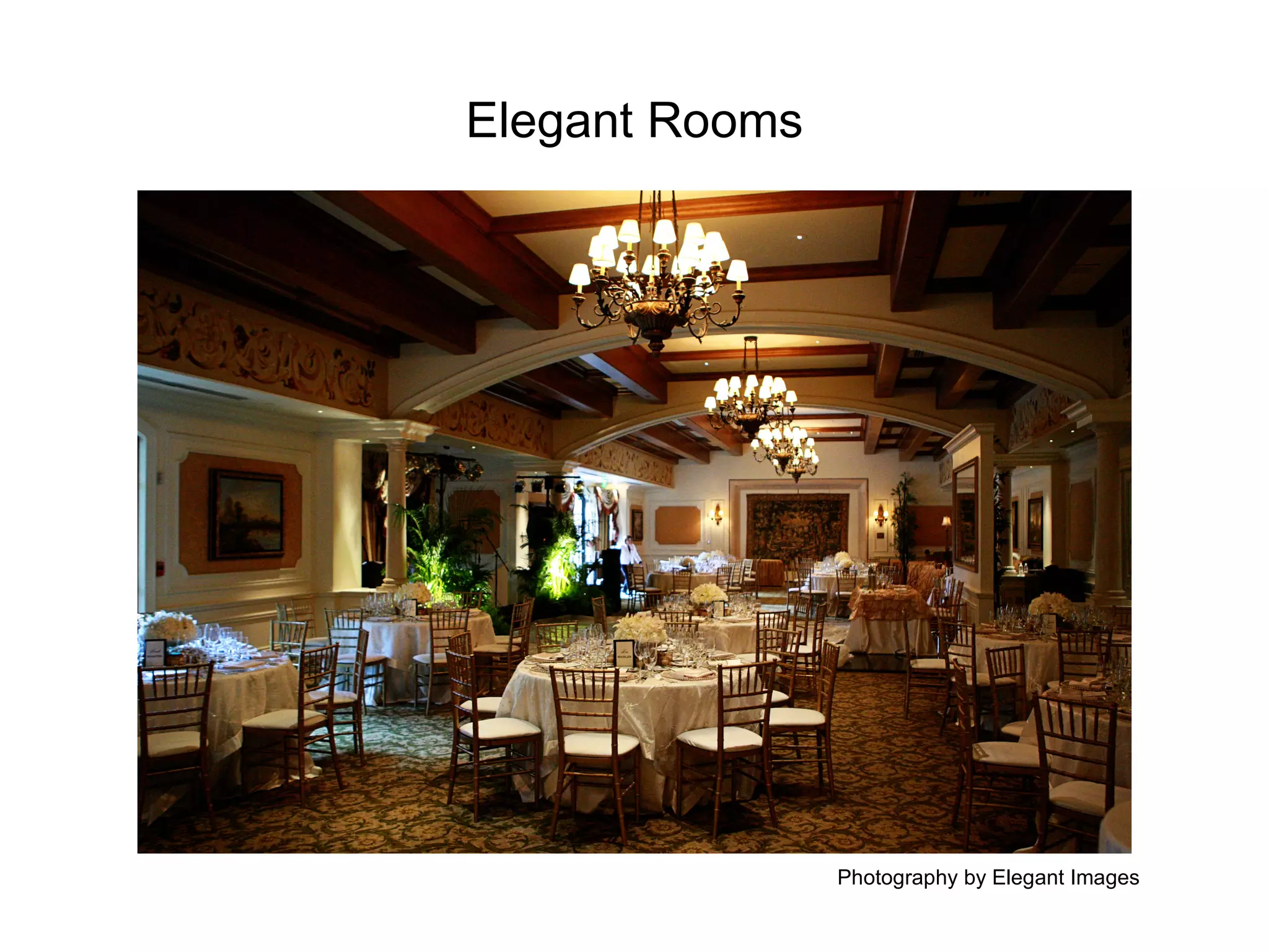 Charlie Palmer at Stirling Club | PPT