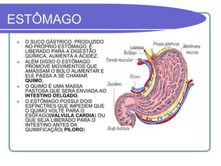 slide-SISTEMA DIGESTÓRIO.pdf