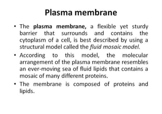 Cell membrane | PPT
