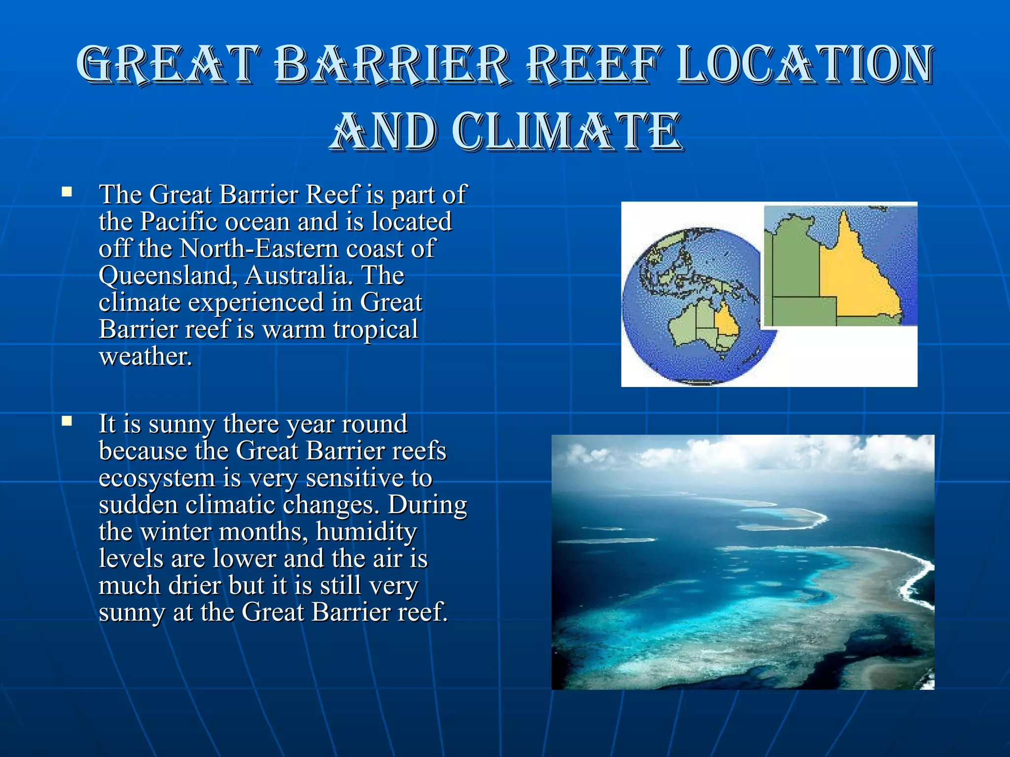 The Great Barrier reef! | PPT | Zoos & Aquariums | Attractions