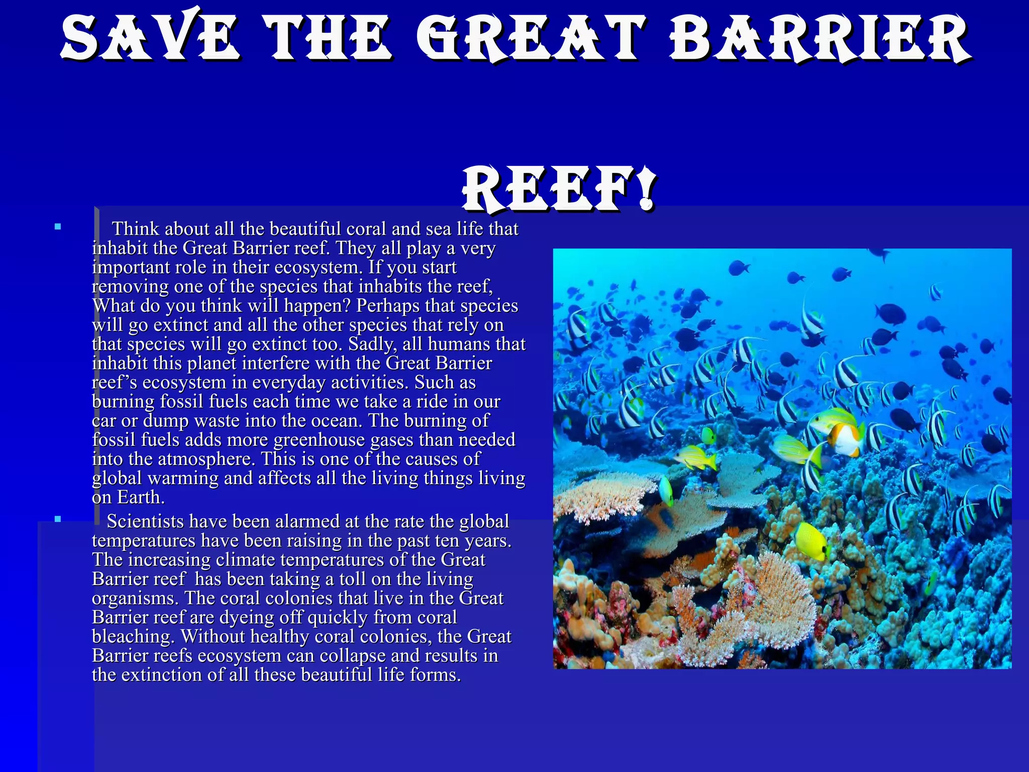 The Great Barrier reef! | PPT