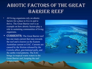Example Of Barrier Reef