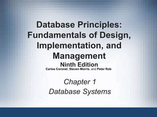 Database Systems (SLIDE 1).ppt