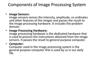 Comprehensive Overview of Fundamental Steps and Components in Digital ...