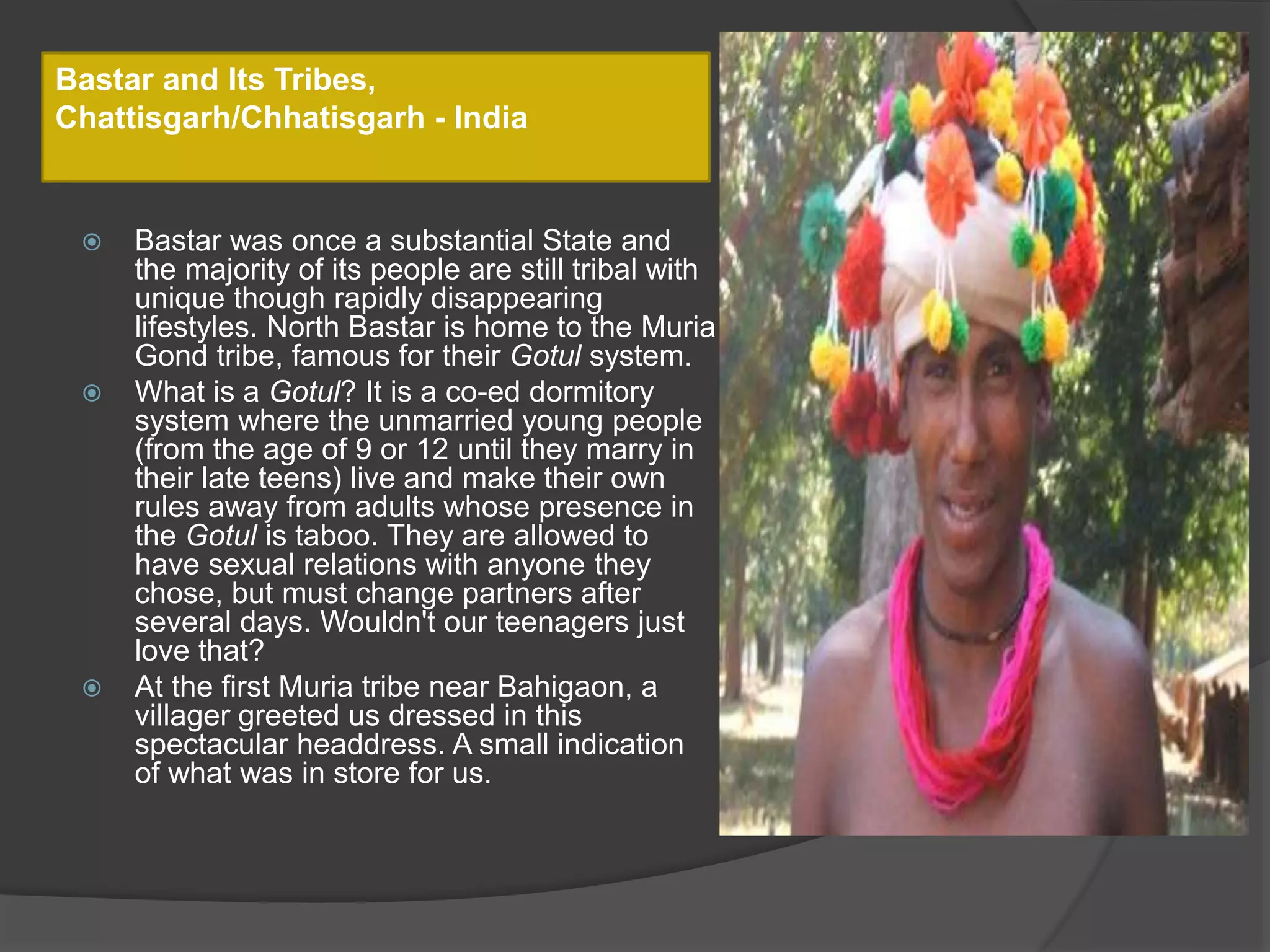 Costumes of Chhattisgarh | PPTX