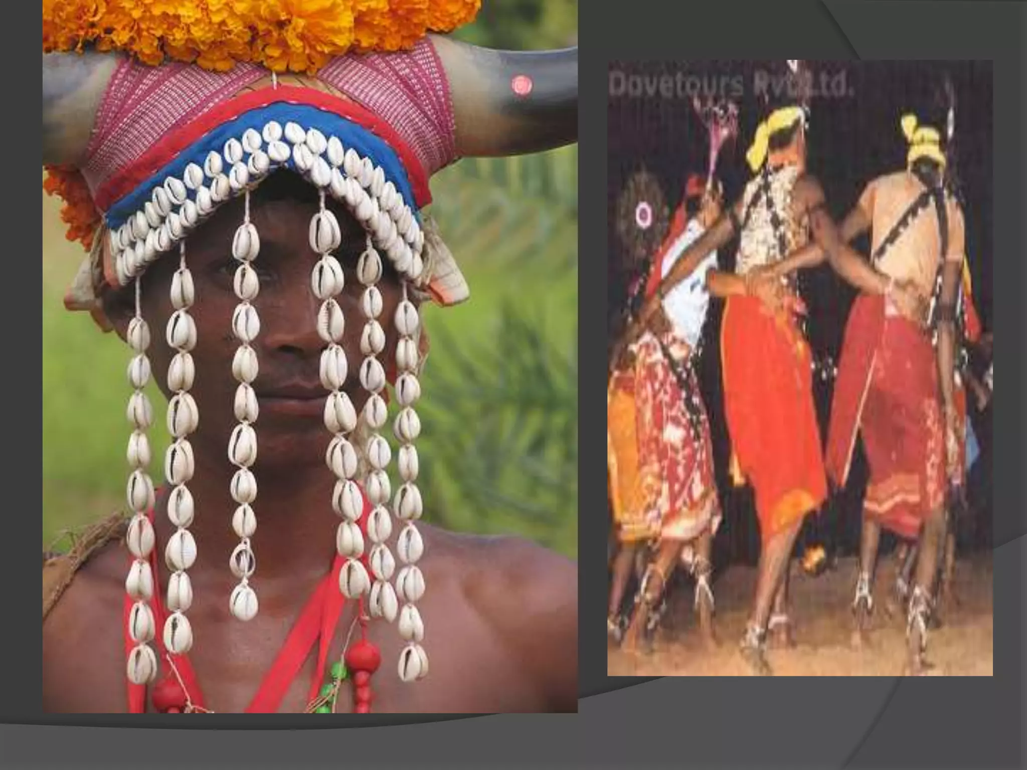 Costumes of Chhattisgarh | PPTX