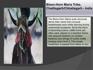 Costumes of Chhattisgarh | PPTX