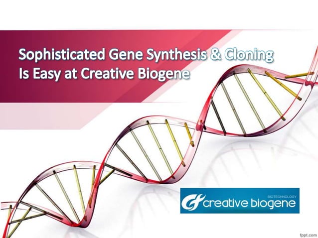 Sophisticated Gene Synthesis & Cloning is Easy at Creative Biogene | PPTX