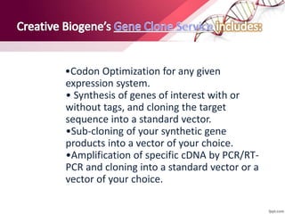 Sophisticated Gene Synthesis & Cloning is Easy at Creative Biogene | PPTX
