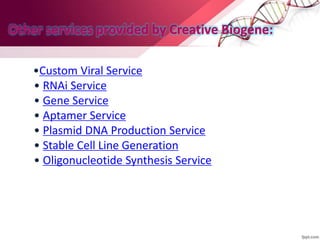 Sophisticated Gene Synthesis & Cloning is Easy at Creative Biogene | PPTX