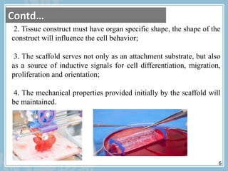 Slide 13-3D Bioprinting on slot basis. Ppt | PPTX