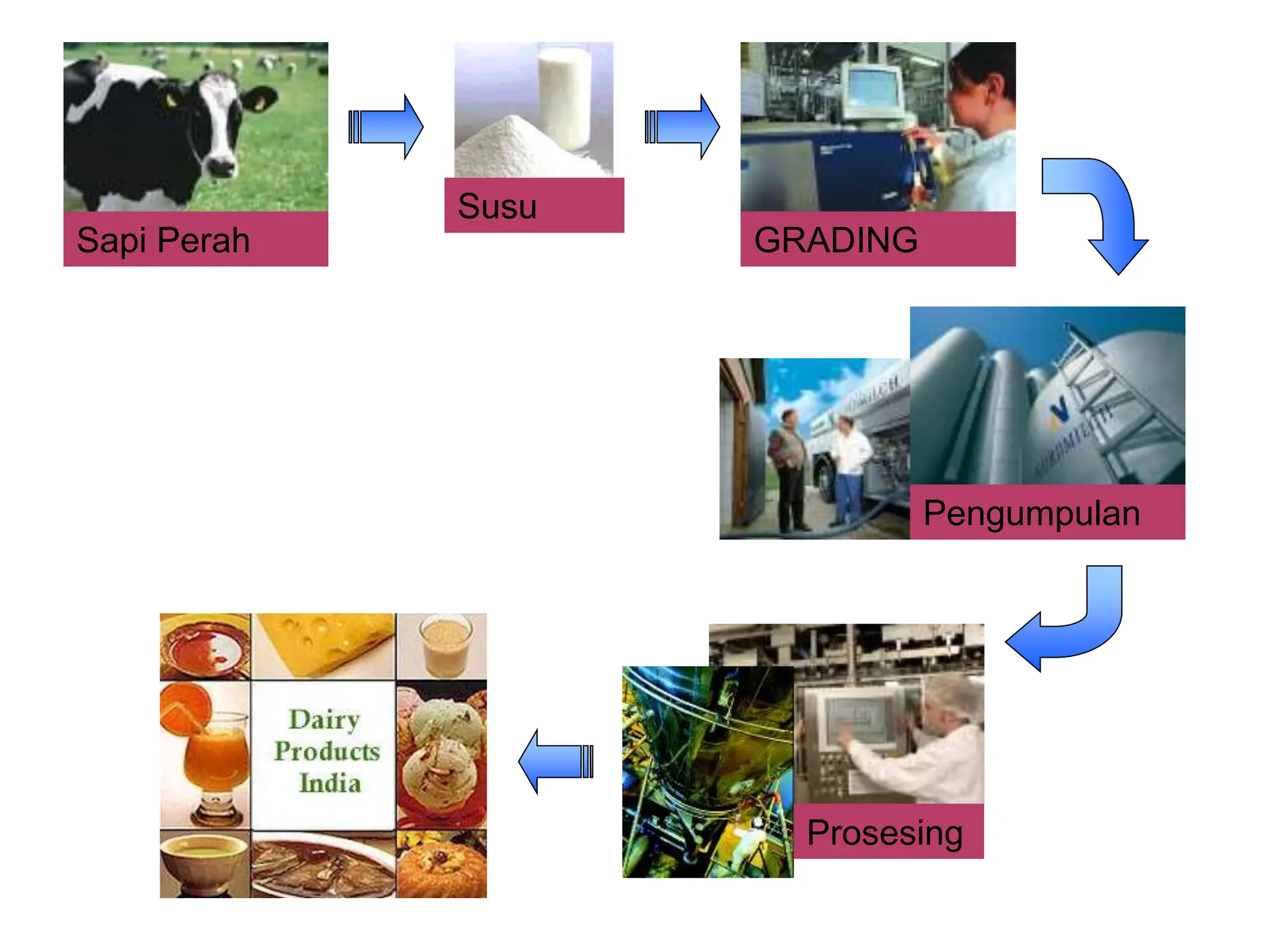 SLIDE 1 B-Teknologi-Pengolahan-Susu-Produk-Cair.ppt