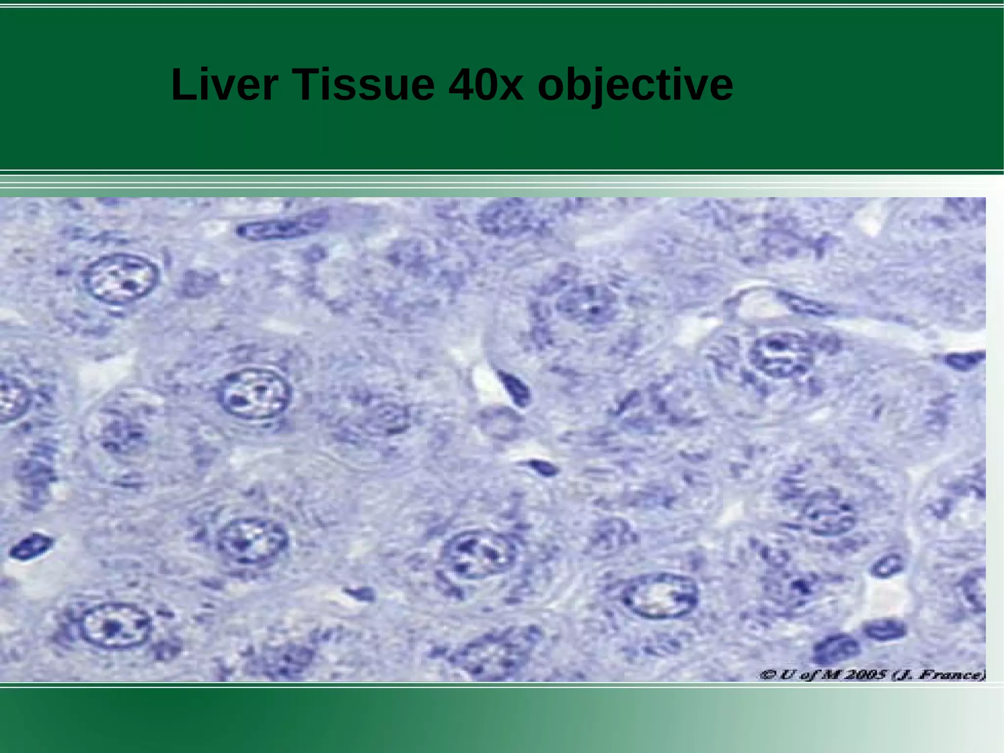 Slide1 identifying cells and cells structures u1.1 9thsci | PPT