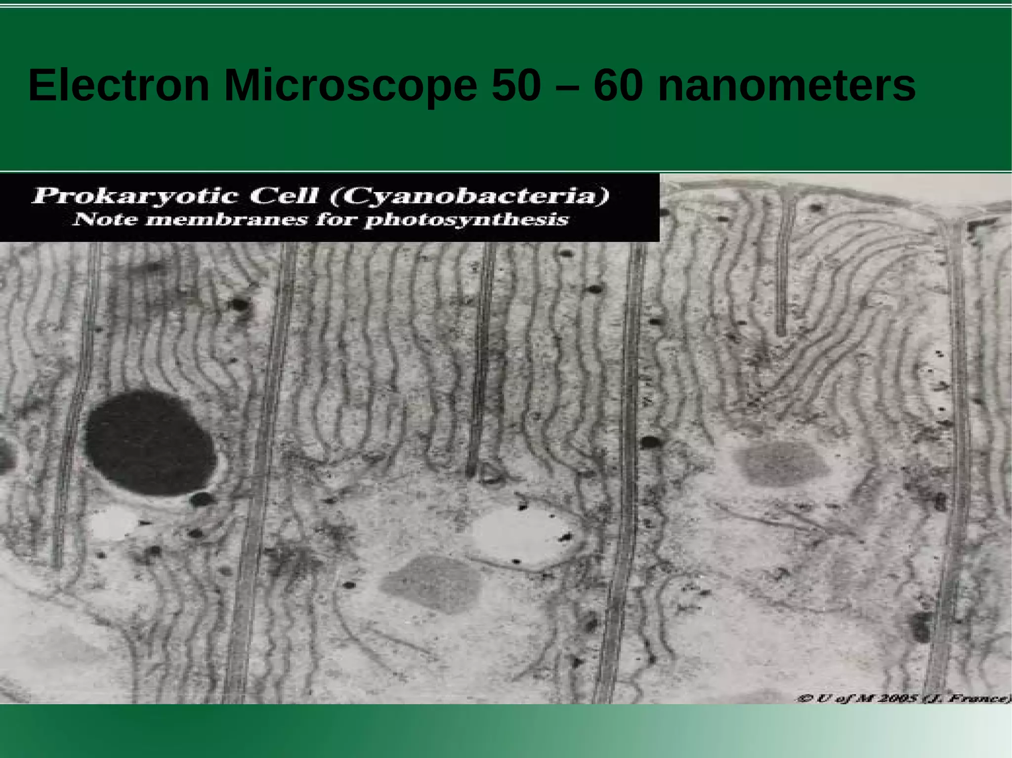 Slide1 identifying cells and cells structures u1.1 9thsci | PPT